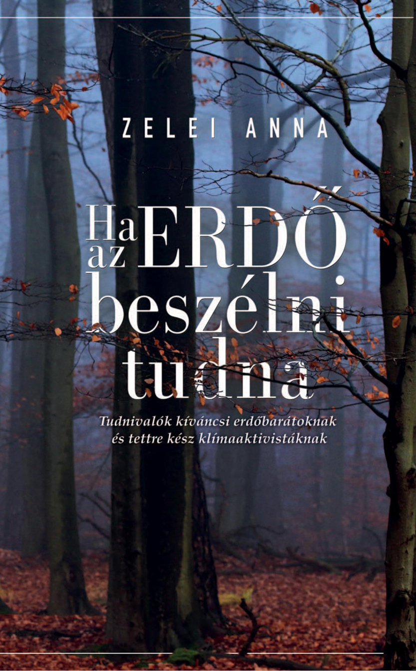 Eötvös Károly Megyei Könyvtár